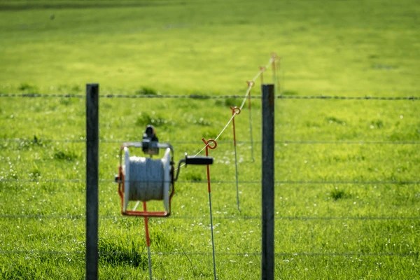 Electric Fencing – Powering Pastures